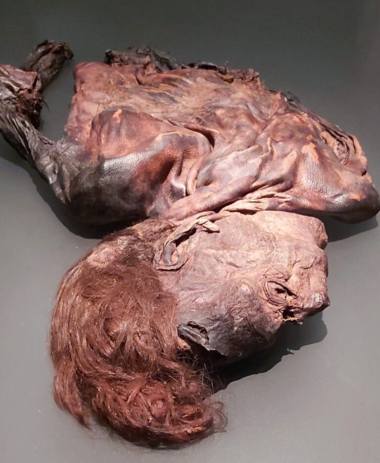 Irish Bog Bodies - Tales From The Wood