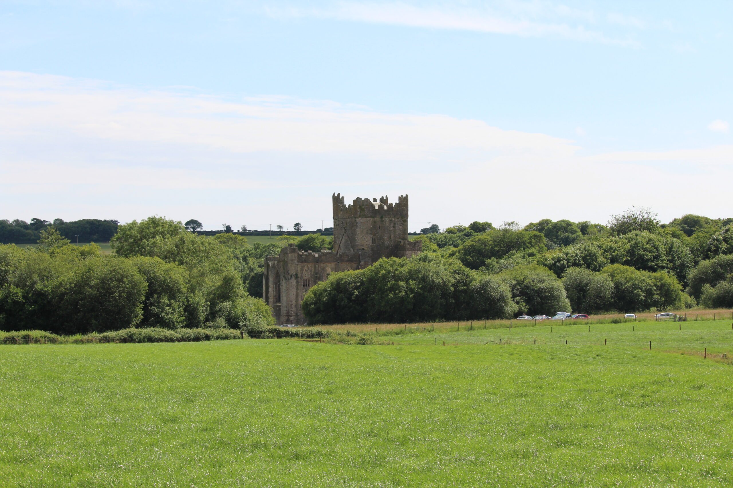 Tintern Abbey Wexford - Tales From The Wood
