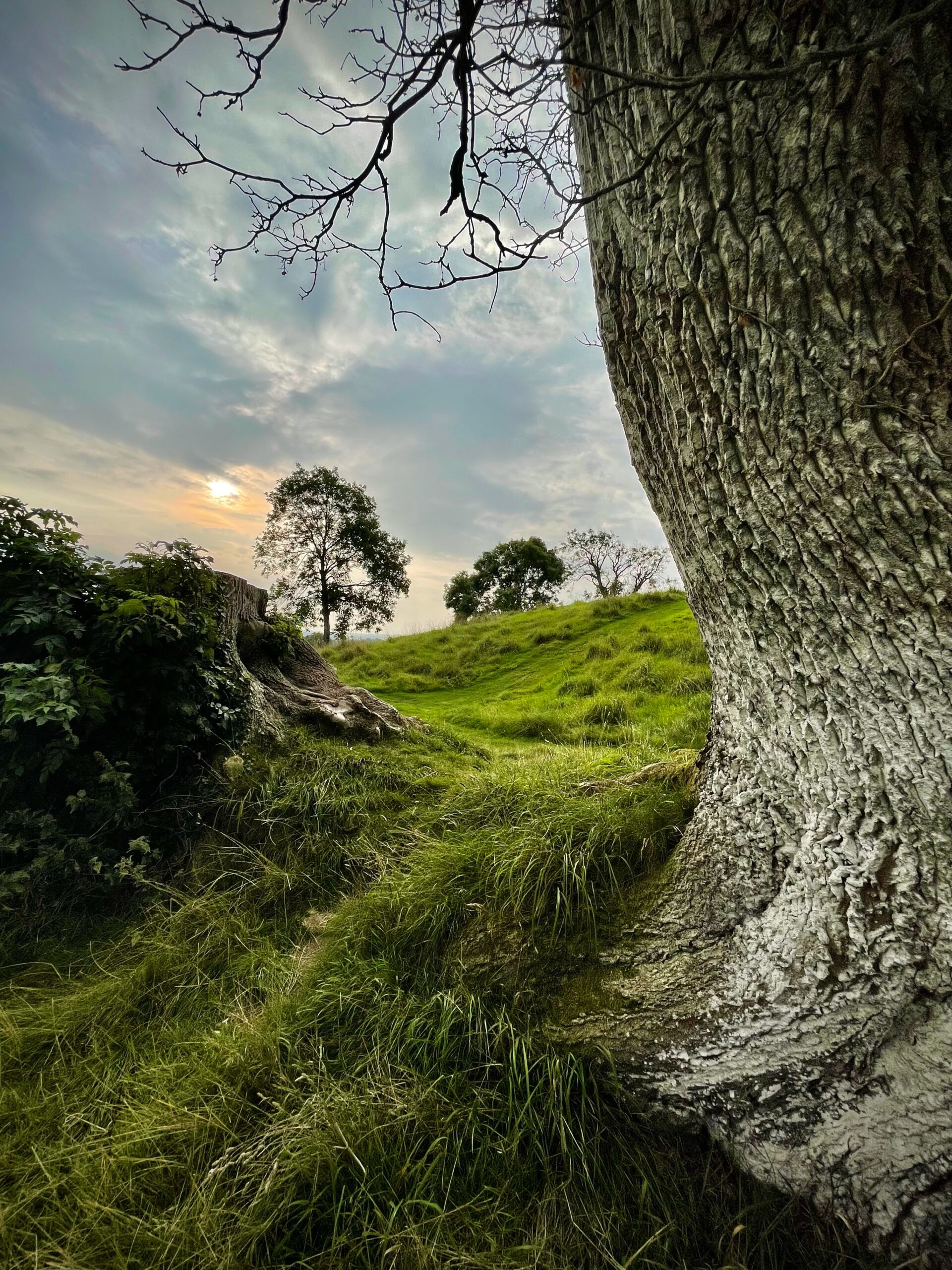 Emain Macha - Tales From The Wood