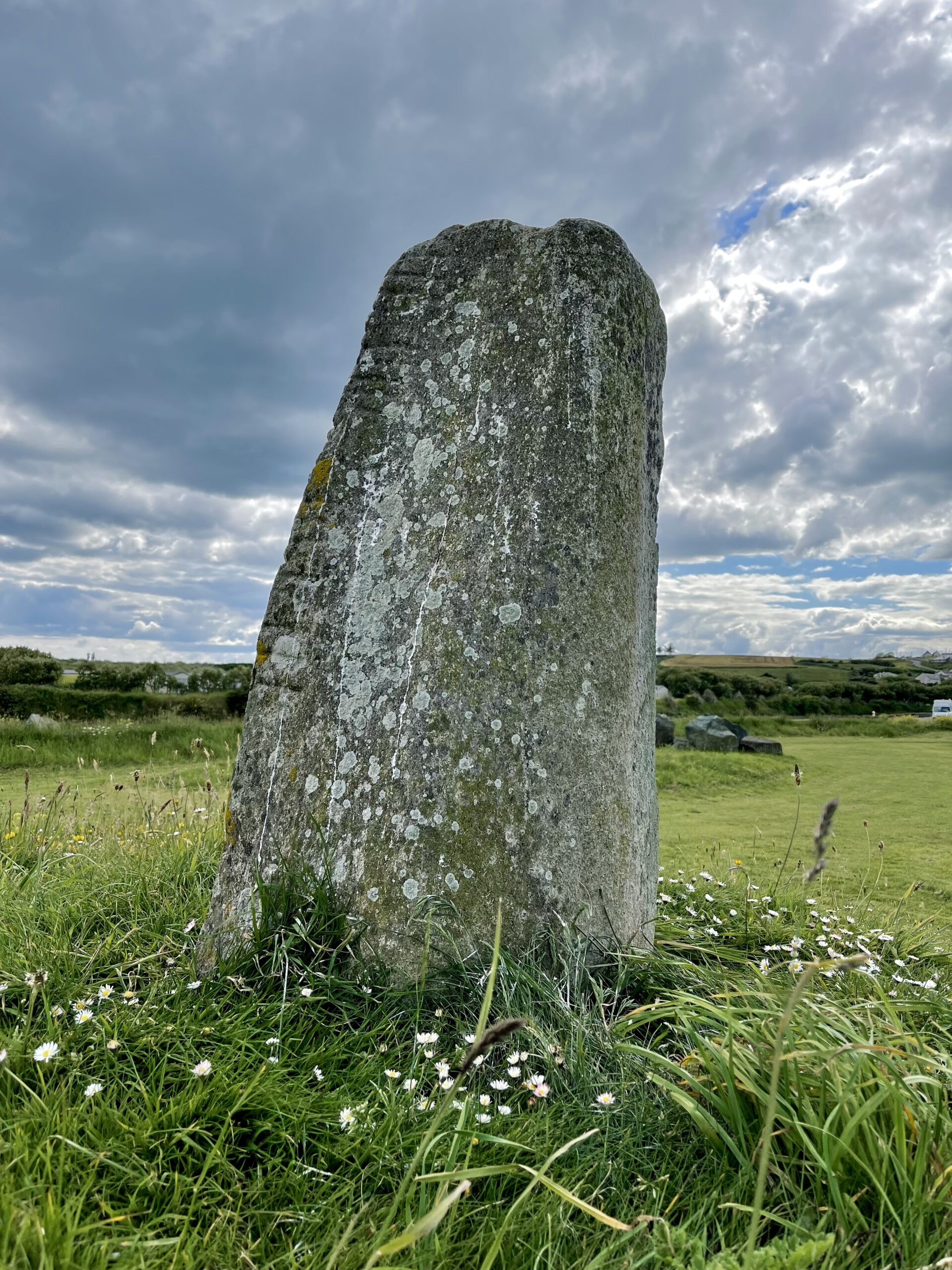 Knockmahon Ogham Stones - Tales From The Wood