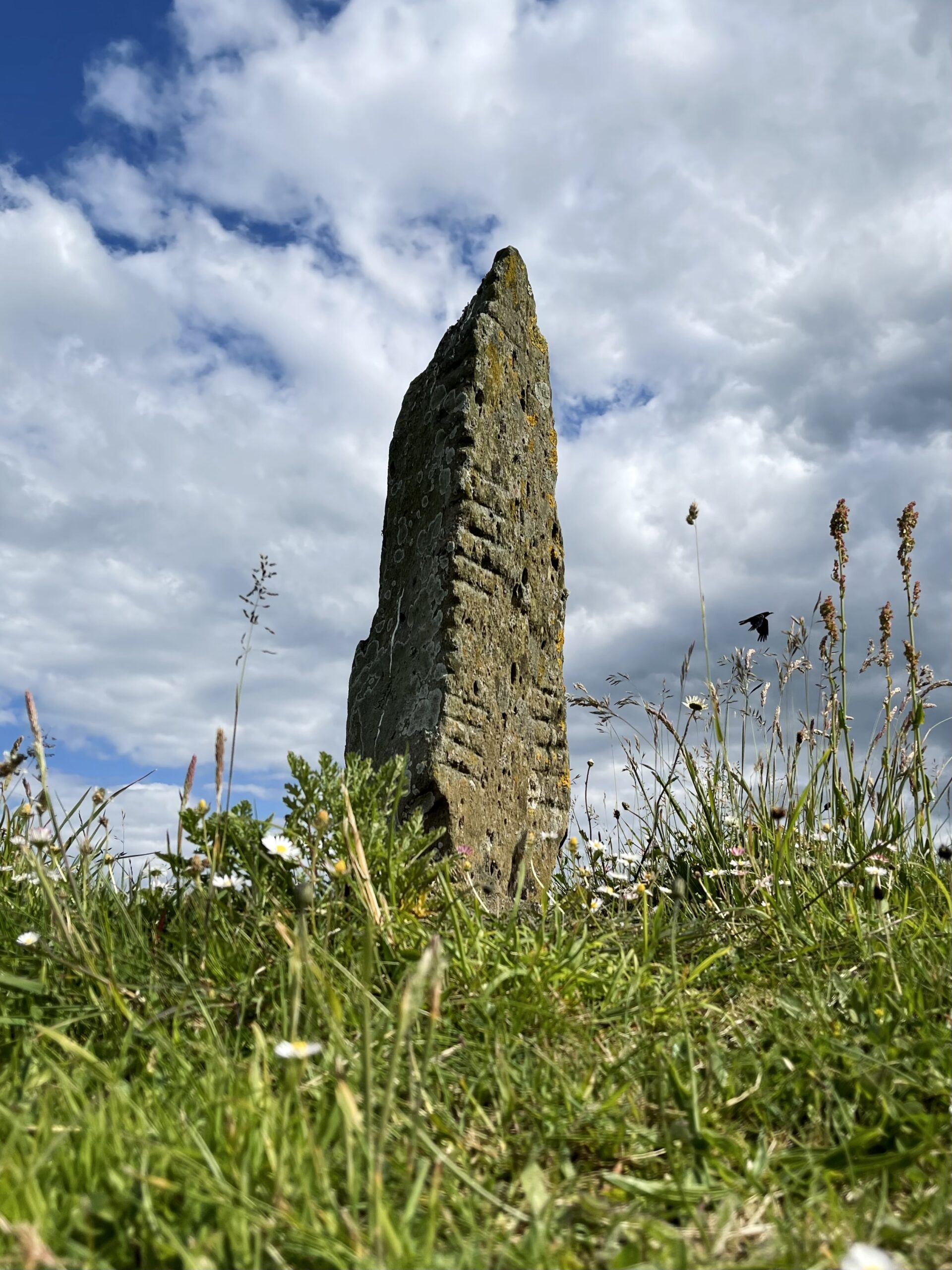 Knockmahon Ogham Stones - Tales From The Wood