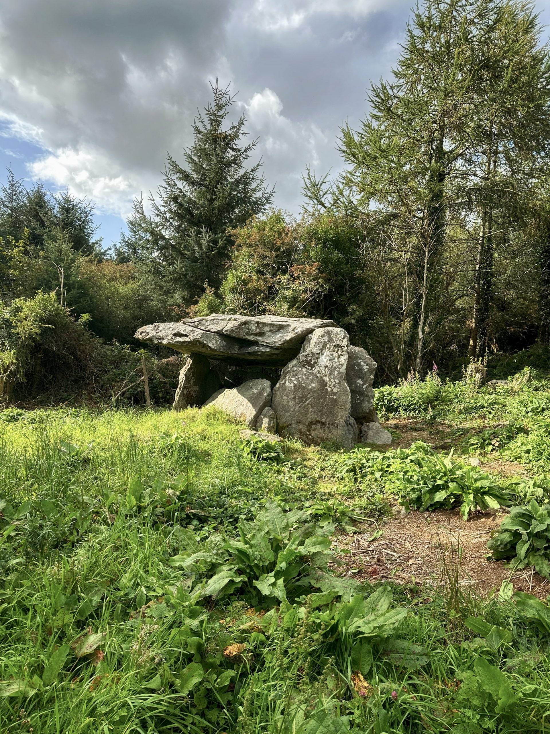 Ballybrittas Portal Tomb - Tales From The Wood